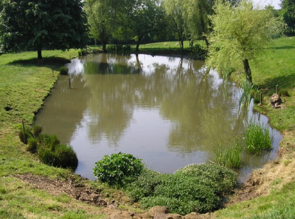 Private Pond, Oxfordshire